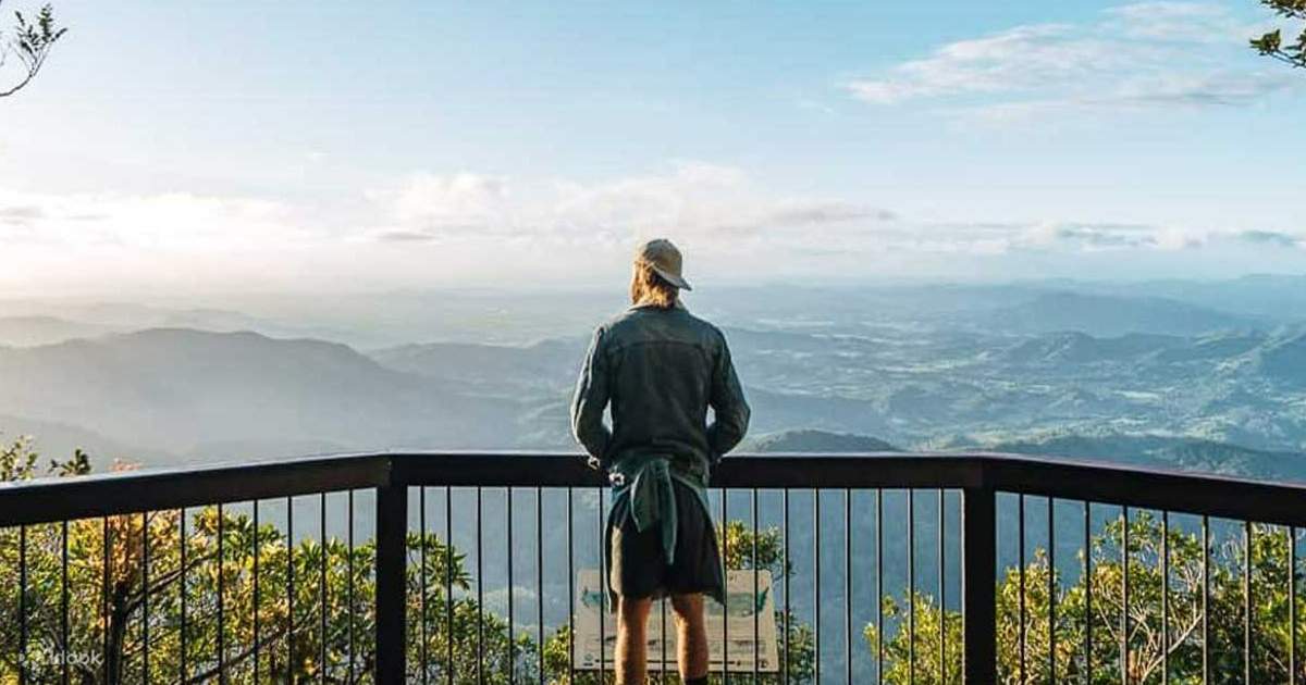 ゴールド コースト ヒンターランド エクスプローラー 1 日パス | Klook